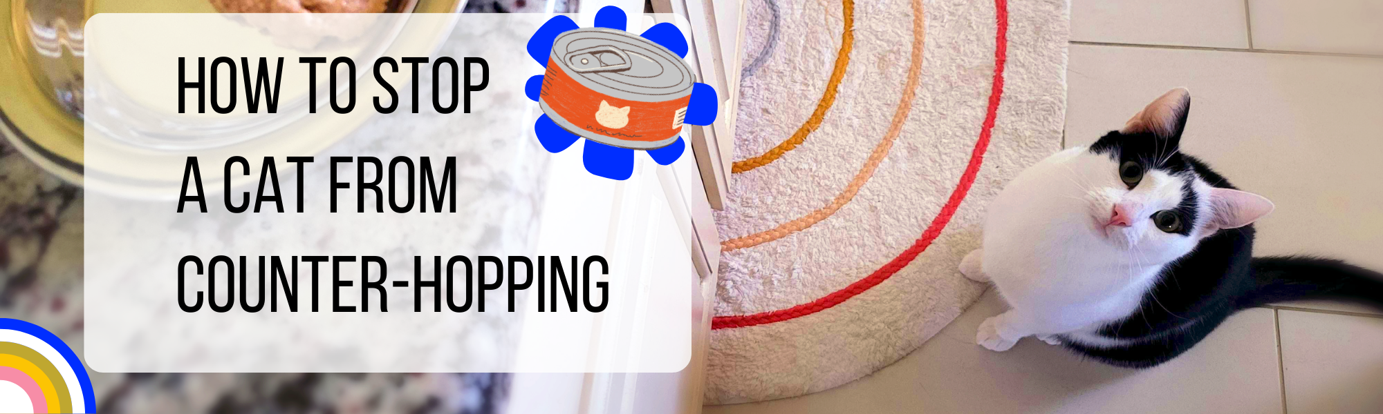 Pet Parent Pointers – Stress less, Love more — Pet Parent Pointers aims ...